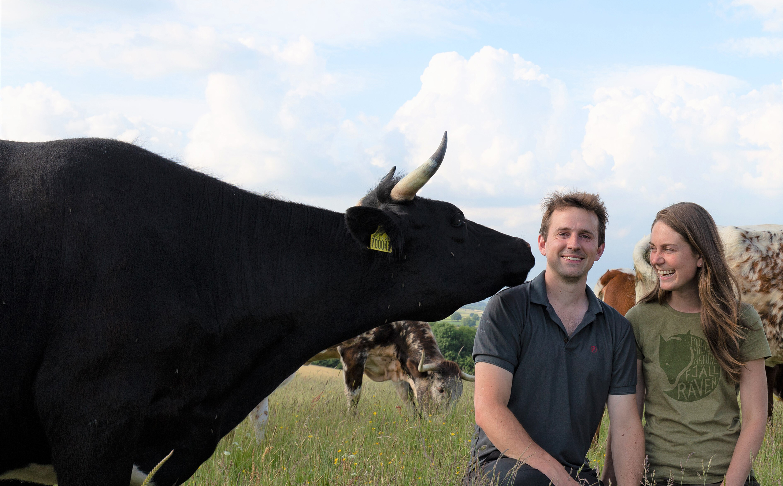 Examples of rewilding | Rewilding Britain