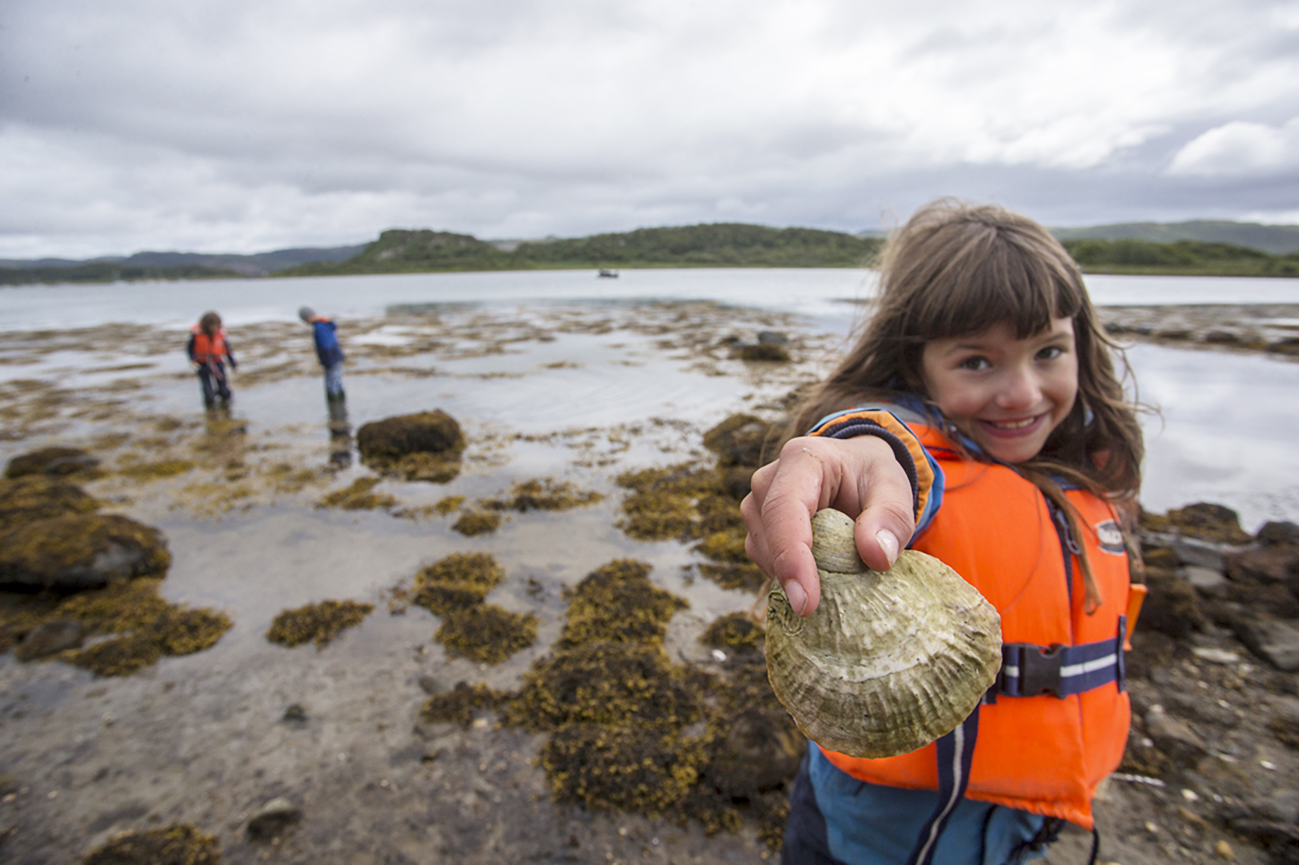 Five marine rewilding projects around Britain | Rewilding Britain